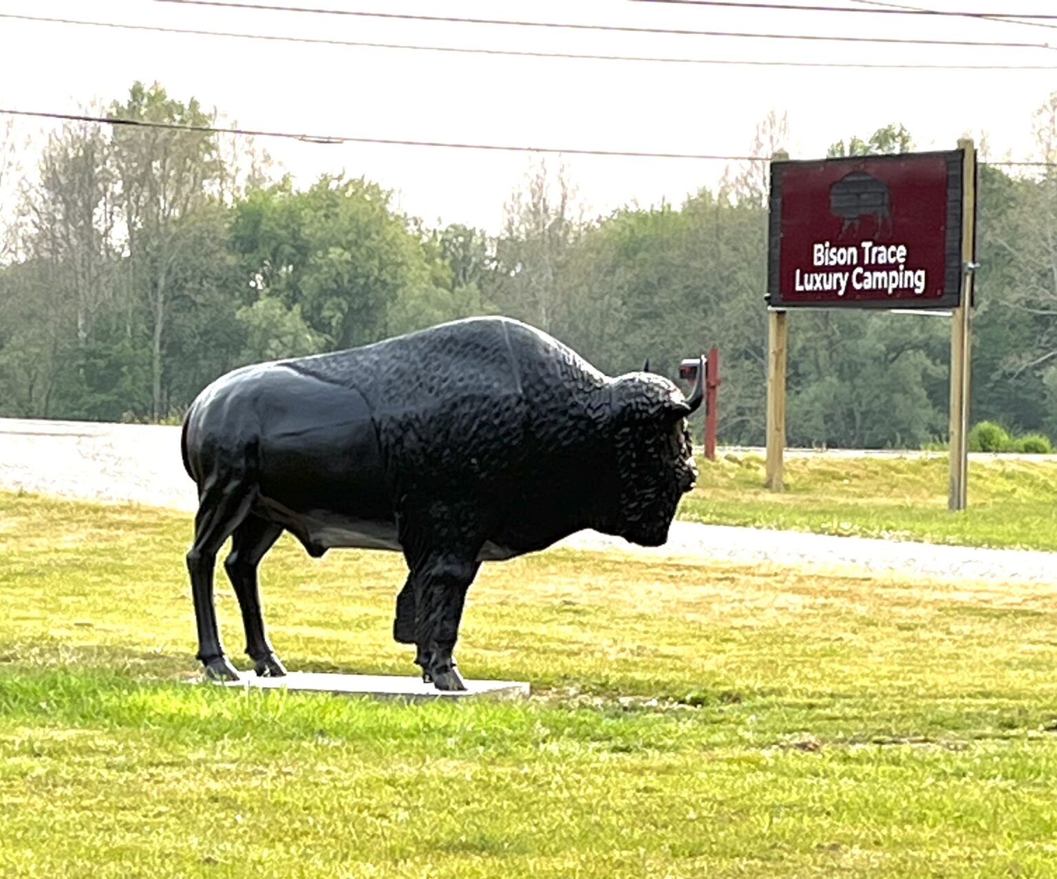 Gallery - Bison Trace Luxury Camping